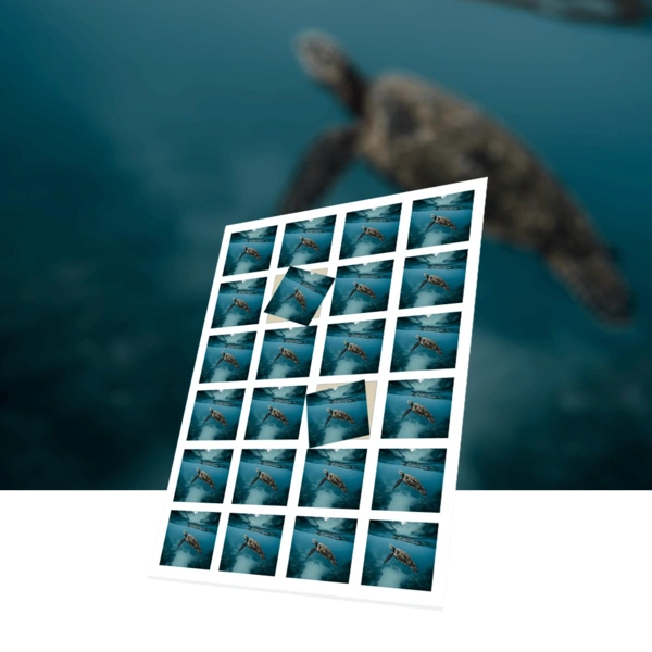 Stickers on a Sheet | Furnival Press ltd