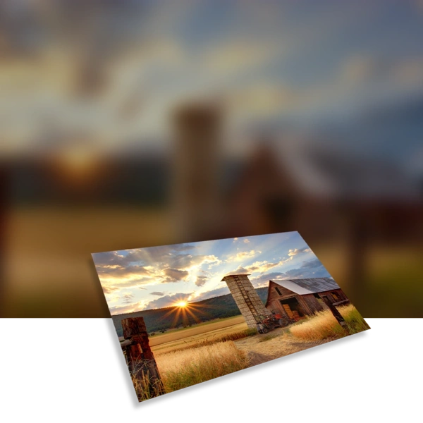 Paper Placemats | Furnival Press ltd